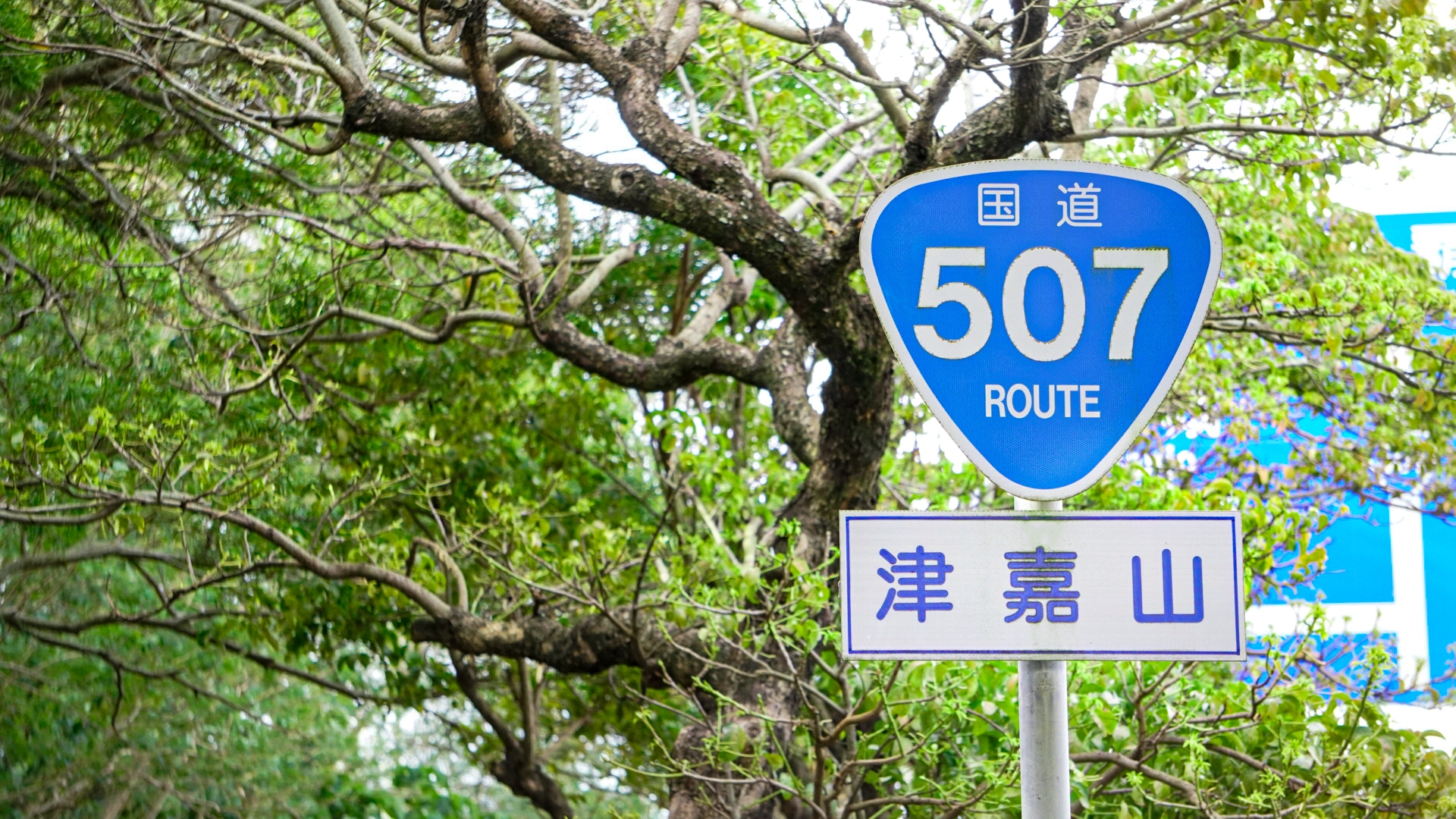 カーブミラーが壊れてる or 擦った時はどうする？ 管轄や標識の管理者 当て逃げについて調べてみた - 振り返れば輝く愛車！